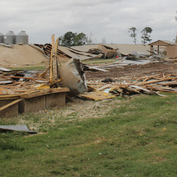 Home - Georgia Farm Bureau