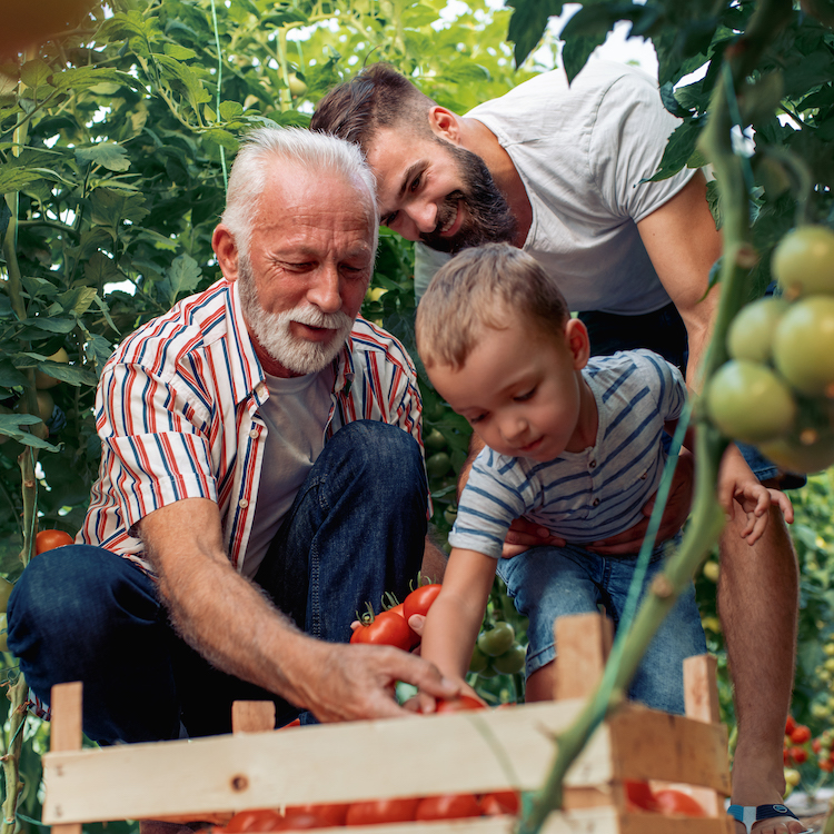 Agricultural News from GFB