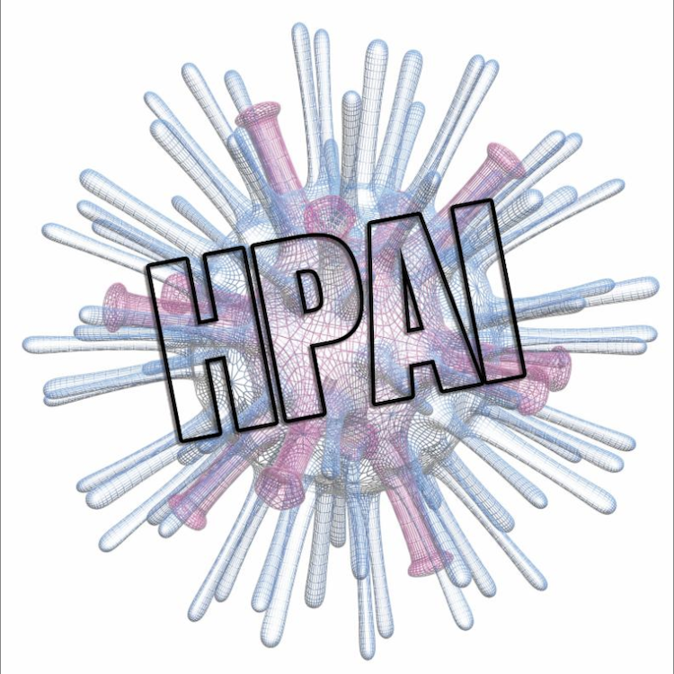 Agricultural News from GFB